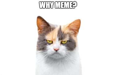 Memes Category