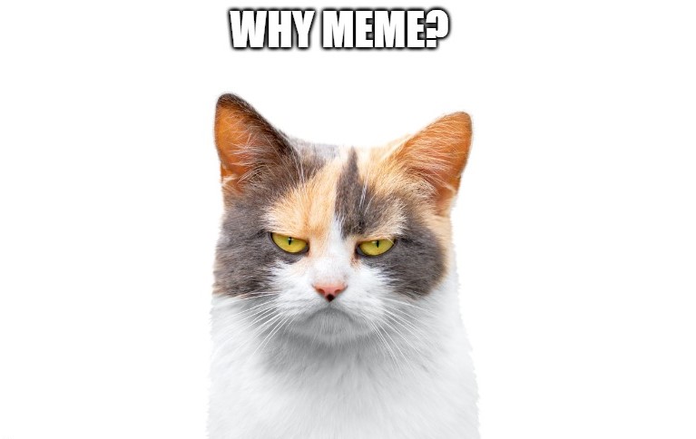 Memes Category